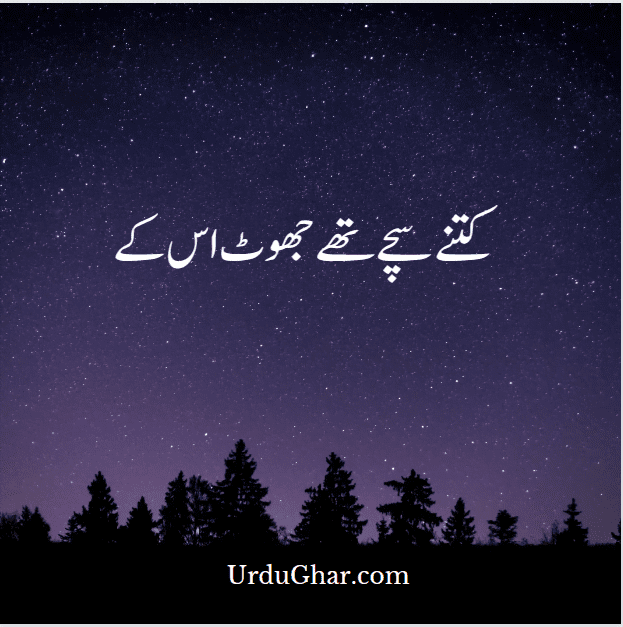 One Line Urdu Captions: Add Poetic Flair To Your Profile