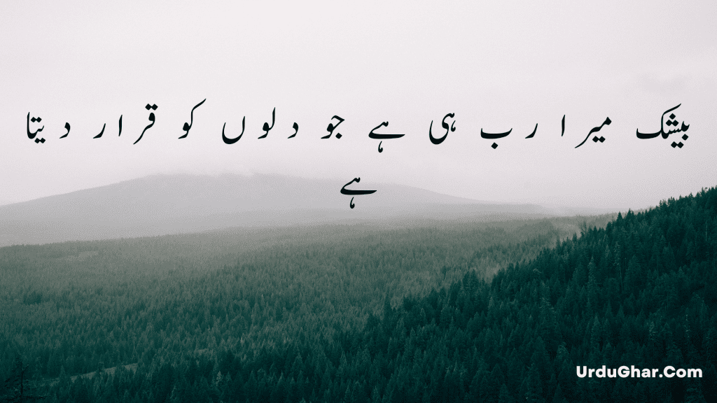 Creative Whatsapp Status In Urdu Ideas For Your Profile