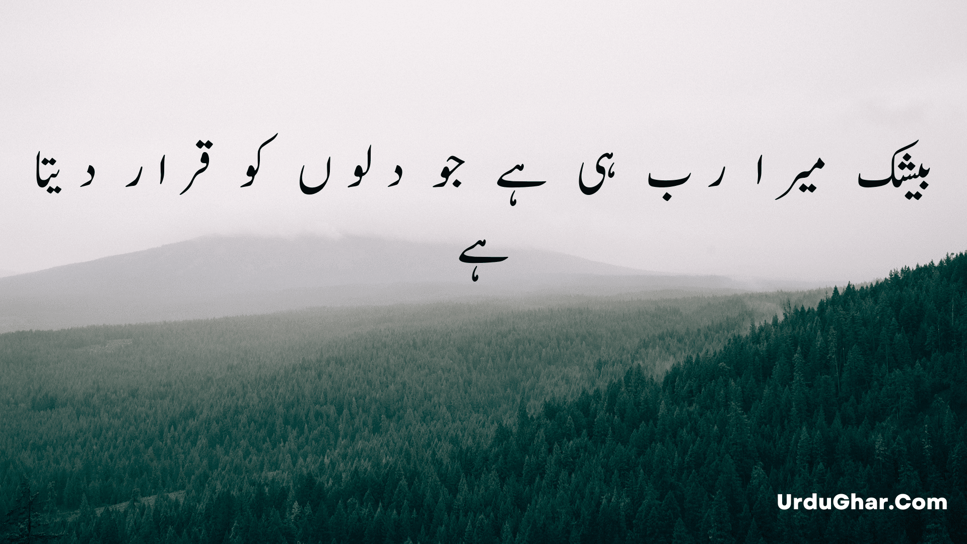 Creative Whatsapp Status In Urdu Ideas For Your Profile